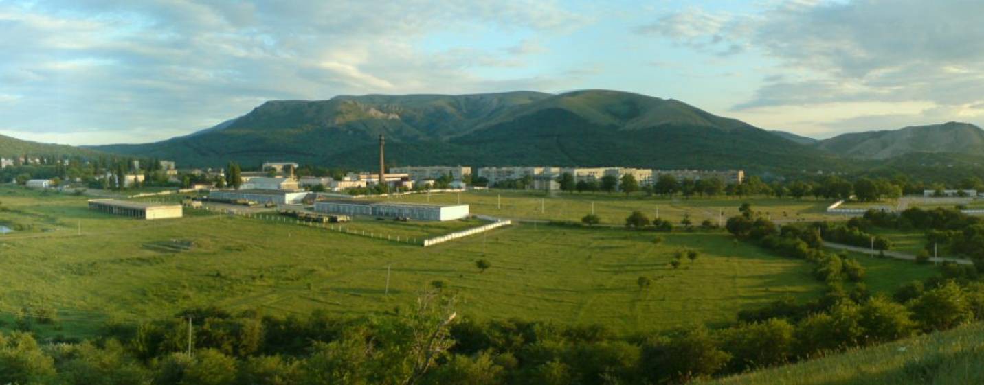 Весёлая ПЧЕЛА