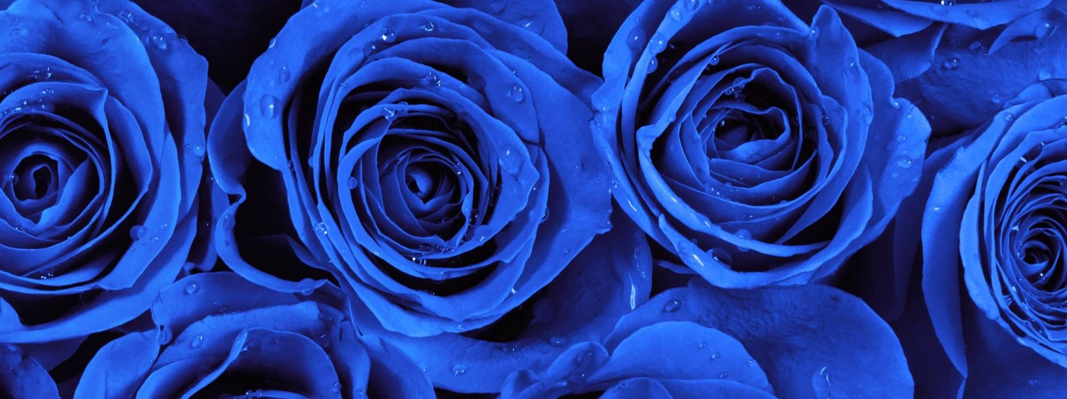 Прохождение игр