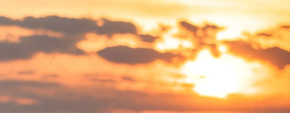 Наталья Кор