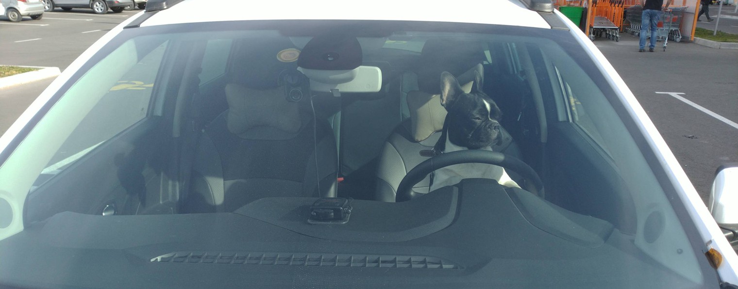 Утилитарная поповозка