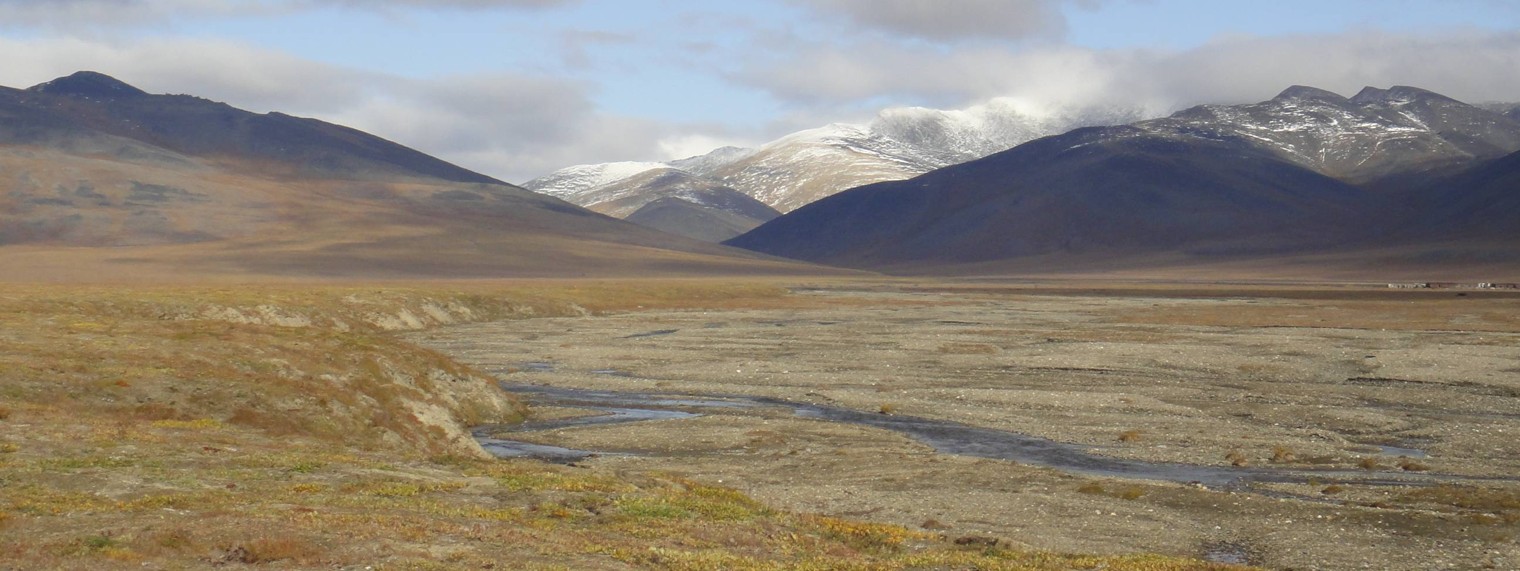 Сергей Борисович Тамбиев