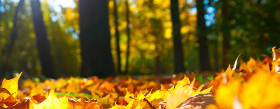 Гамзин Юрий ЦКСТ "Представь себе"