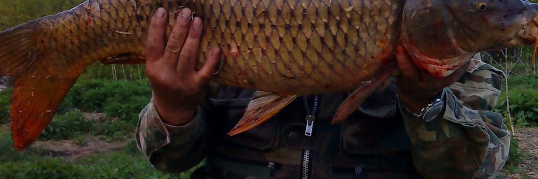 В гостях у Виталия