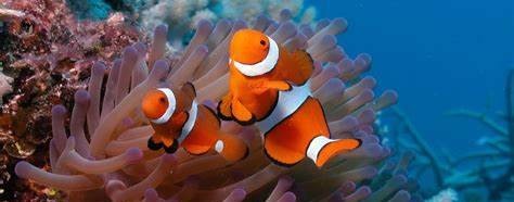 Рыболовный День