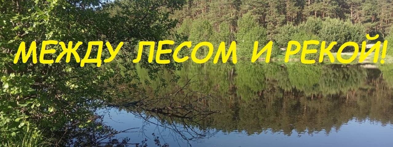 Между Лесом и Рекой(МЛИР)
