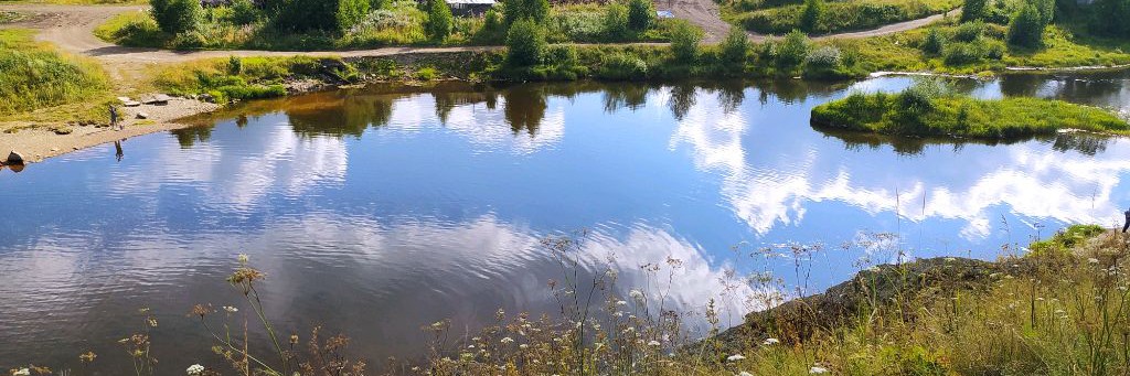 Цветочное Жизненное движение.