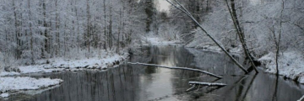 karakosov