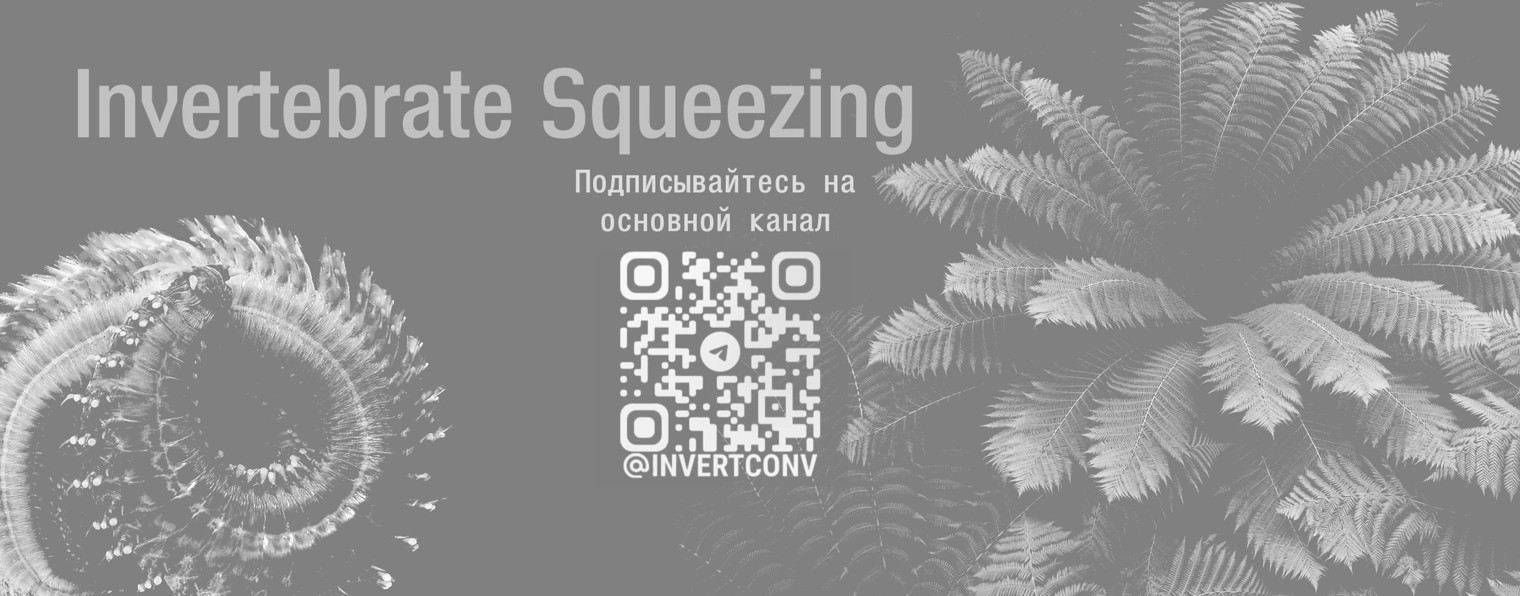 InvertebrateSqueezing