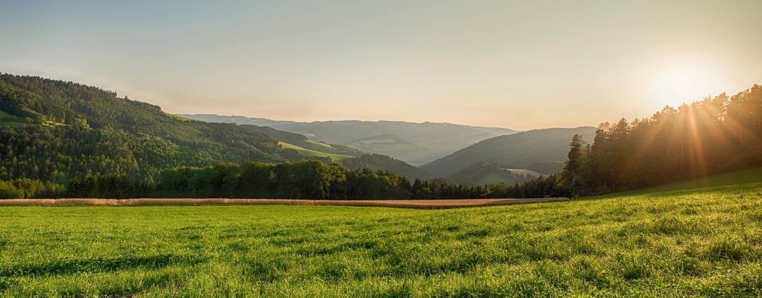 Жизнь прекрастна