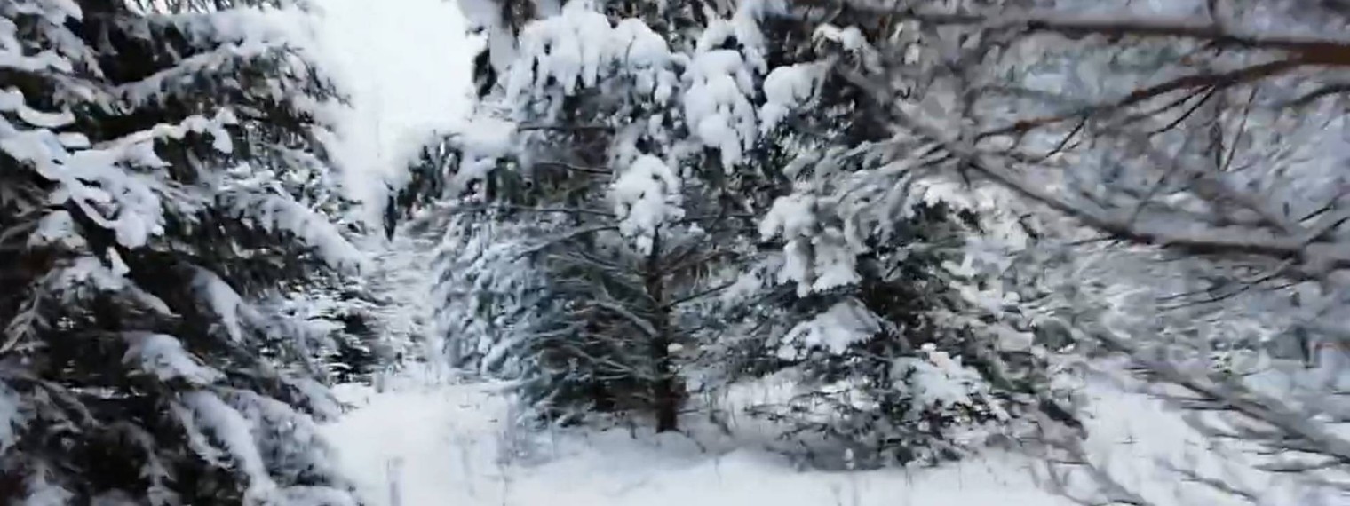 Таежник  ТВ