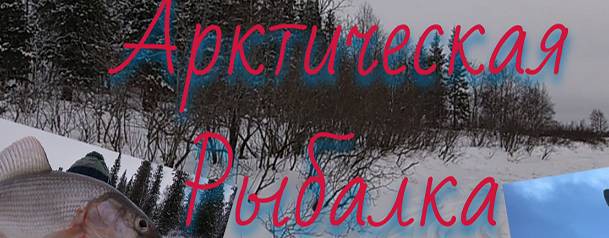 Леонид Шишелов Арктическая рыбалка