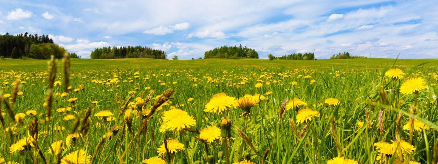 Владимир Кудряшов