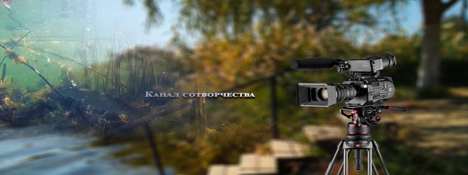 Сотворчество