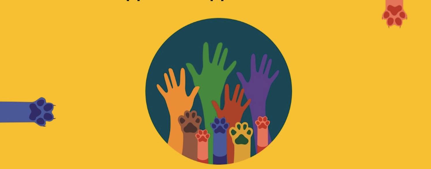 Лохматый оскар