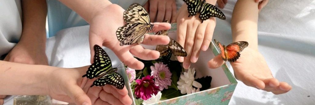 Фея бабочек / Тропические бабочки у вас дома