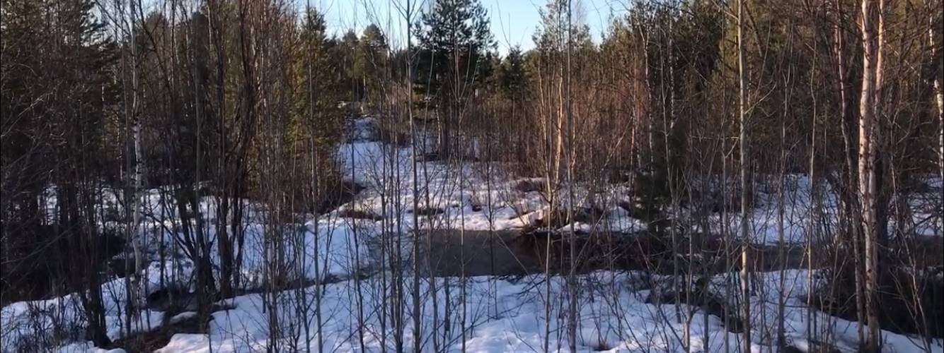 РУЧЕЕКИНФОРМТВ