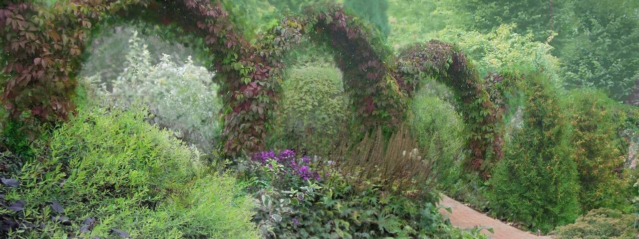 Александровский сад