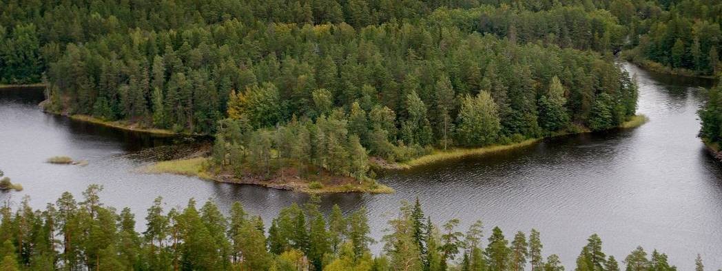 Синодальный отдел по монастырям и монашеству