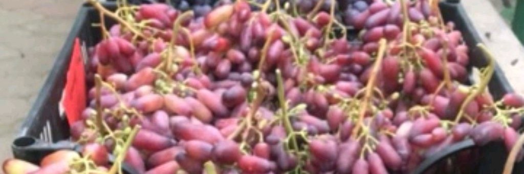 Виноград Вячеслава