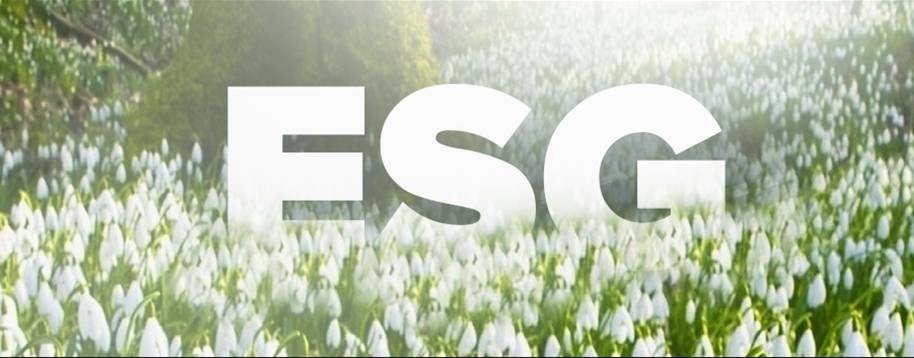 Игровой канал / Новости / Обзоры / Стримы