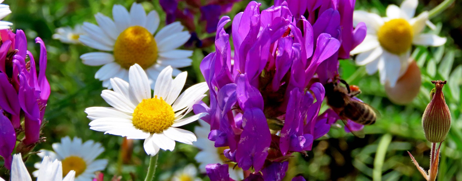 Крымские просторы