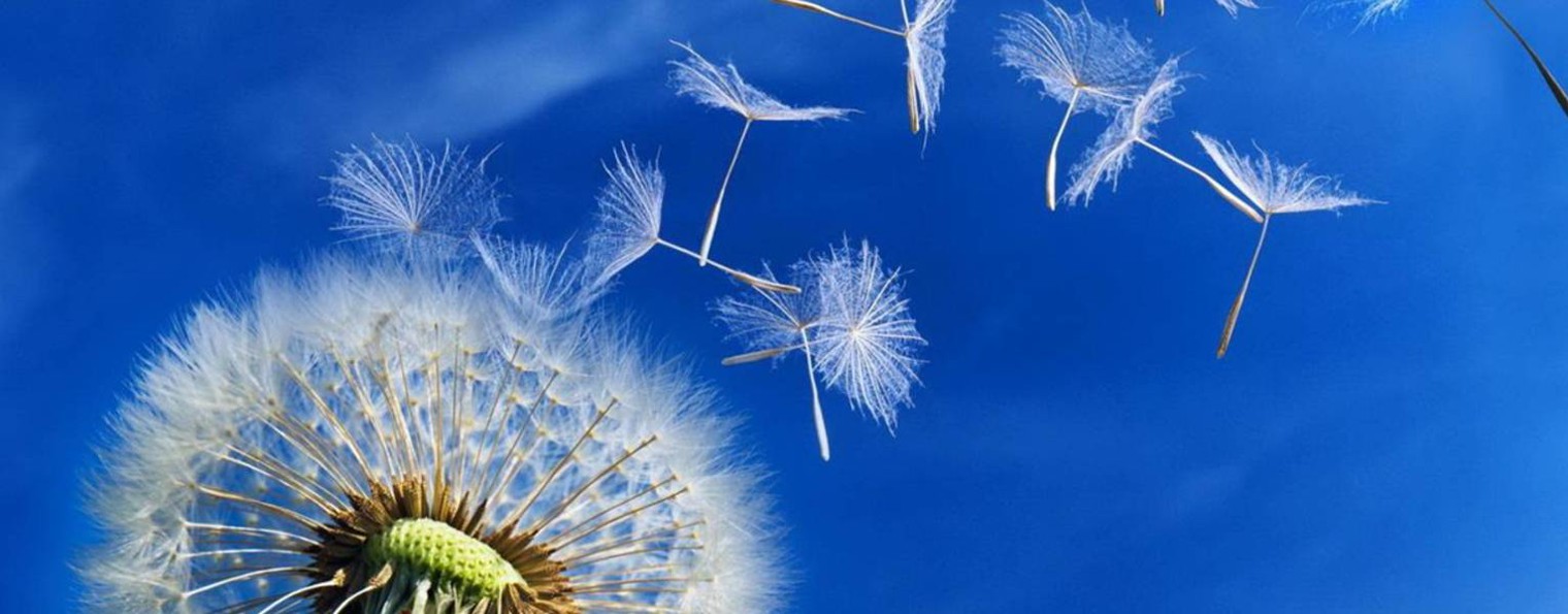 Остановись мгновенье