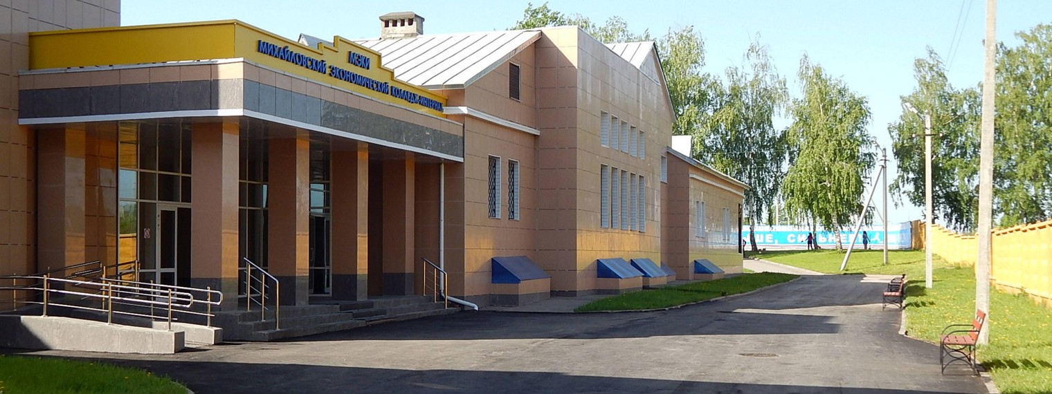 Михайловский экономический колледж-интернат