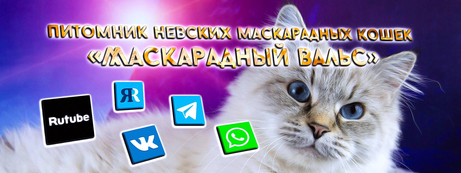 Маскарадный Вальс