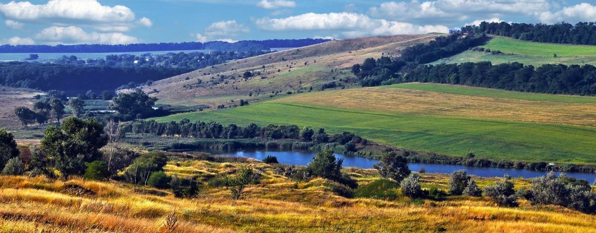 Геннадий Батькович