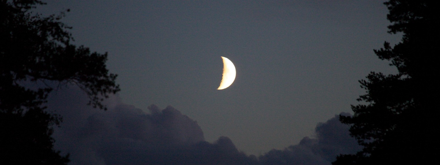 Роман Ковалев