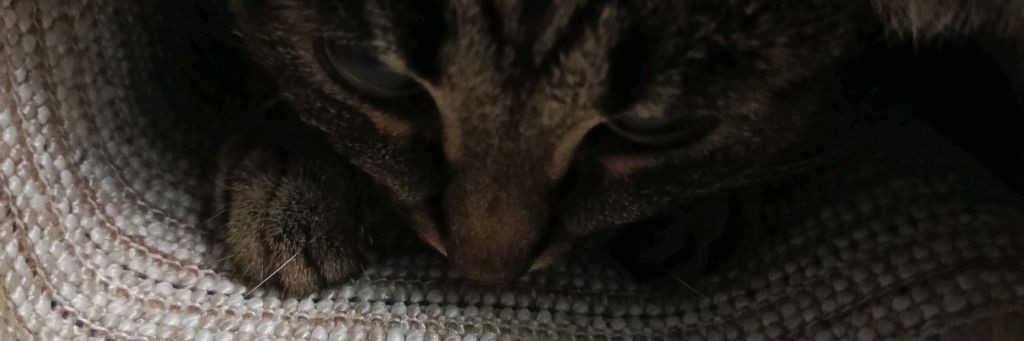 игры 🎮 [🇷🇺]