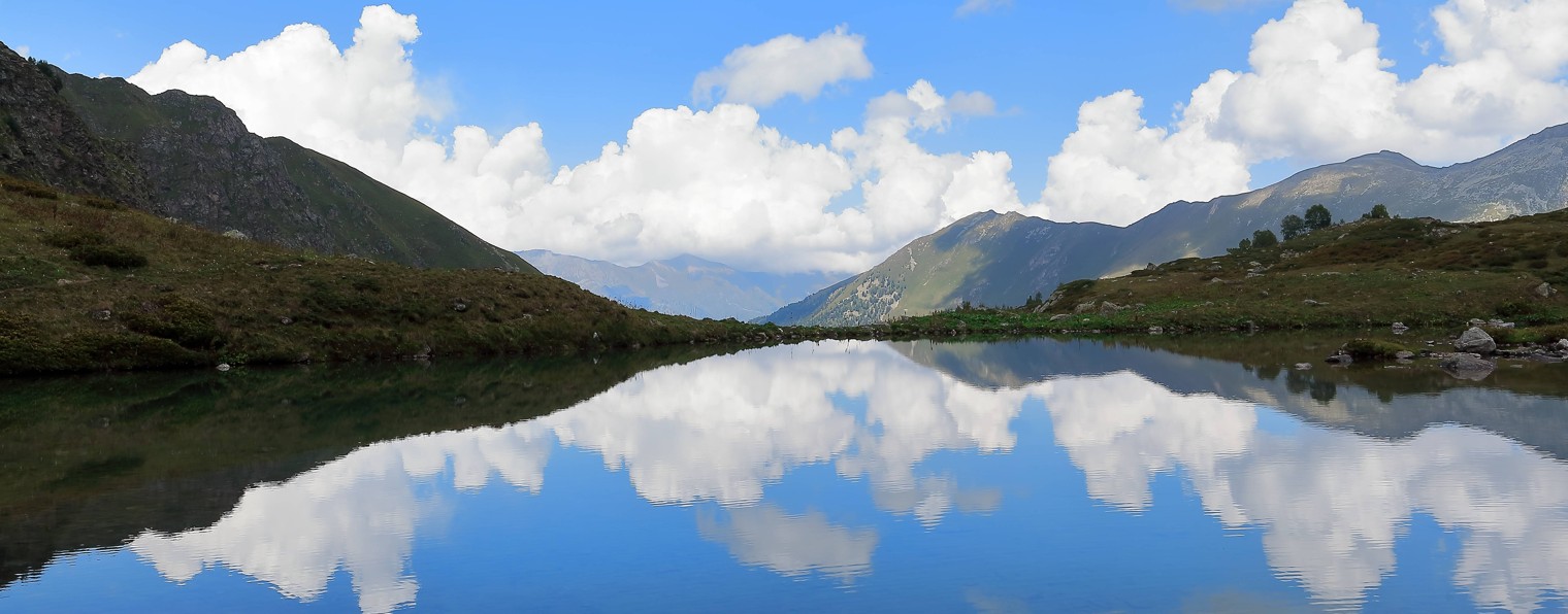 Андрей Техно Антиквар