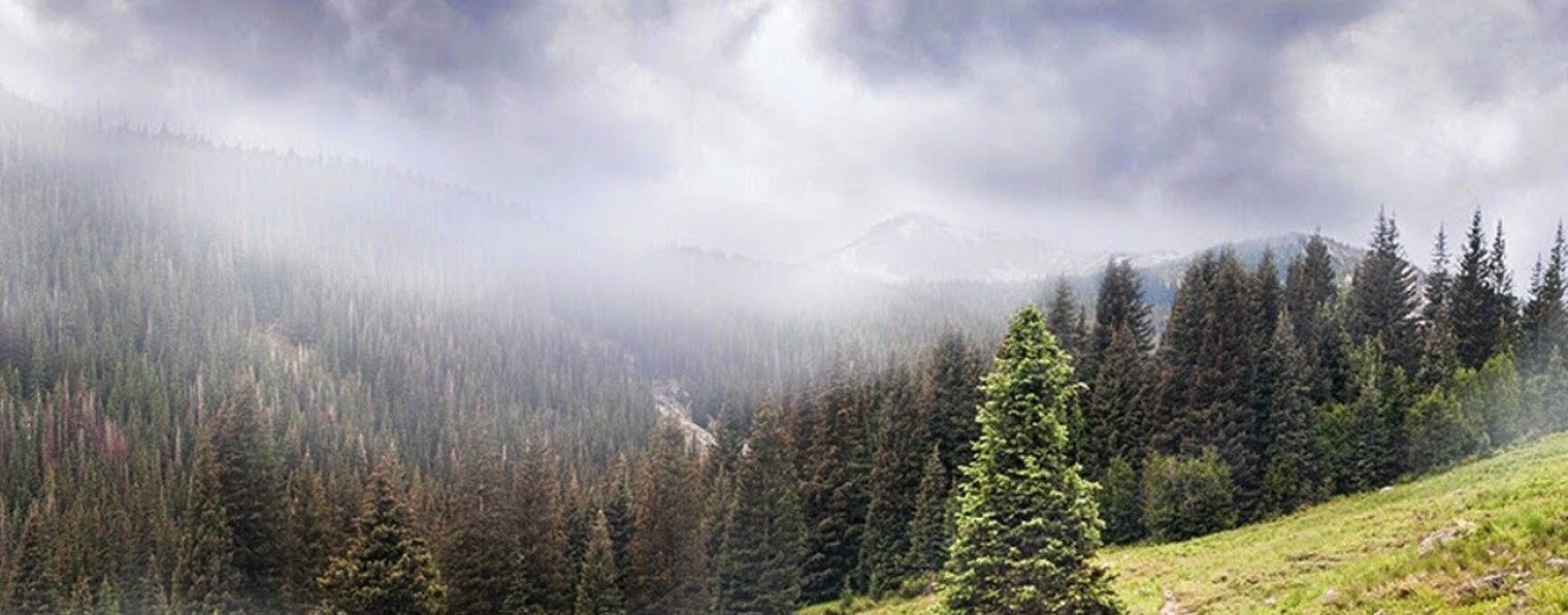 Мы из Сибири