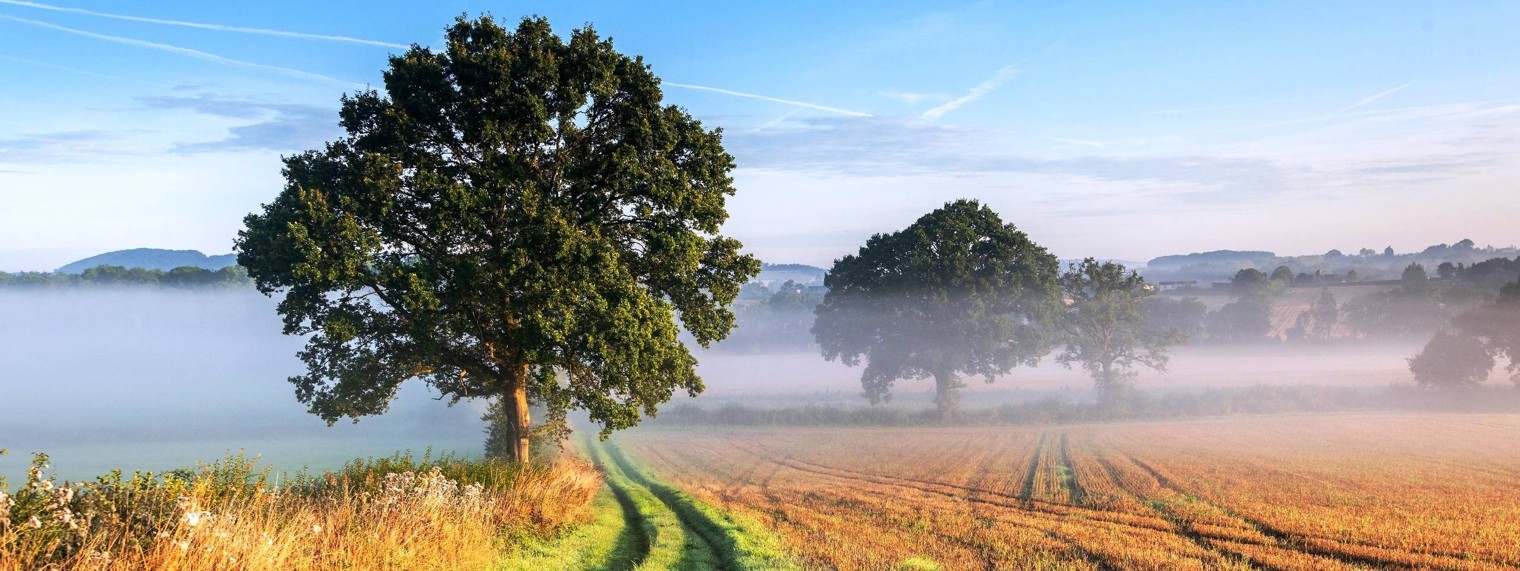 ЗАПИСКИ ПРОВИНЦИАЛОВ