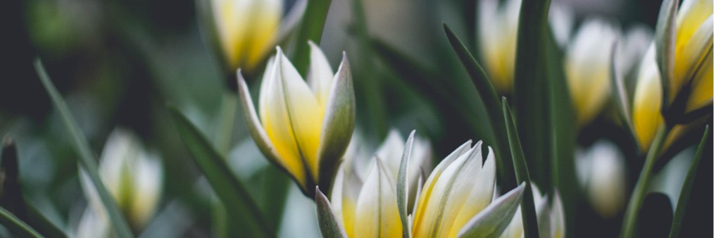 Вера  Сухарева