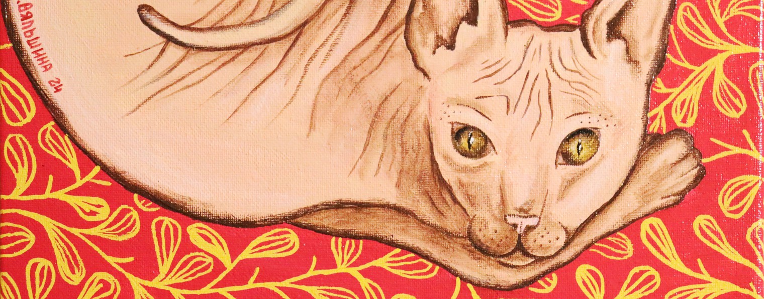 Художник Мария Вяльшина