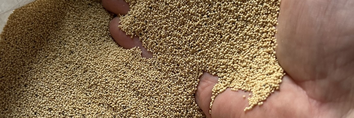 Амарант Мука Масло