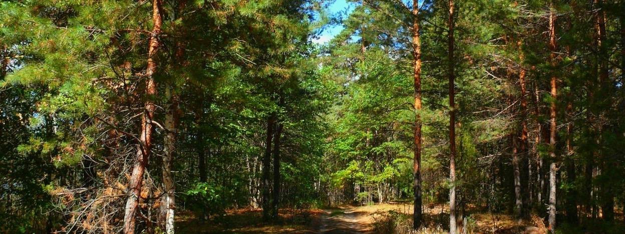 History of Russia in songs.