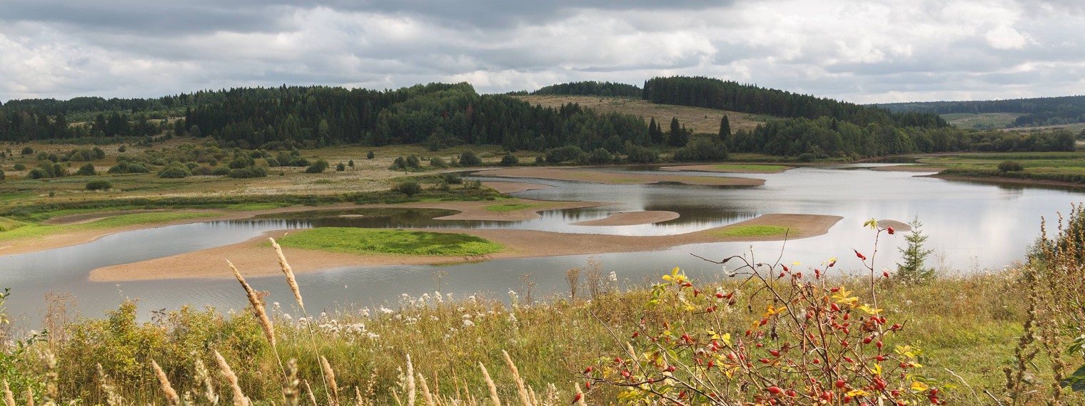 Дачные дела и не только...