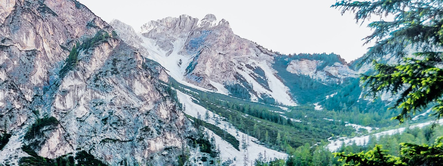 ЗВУКИ СО ВСЕГО МИРА!!!!!!