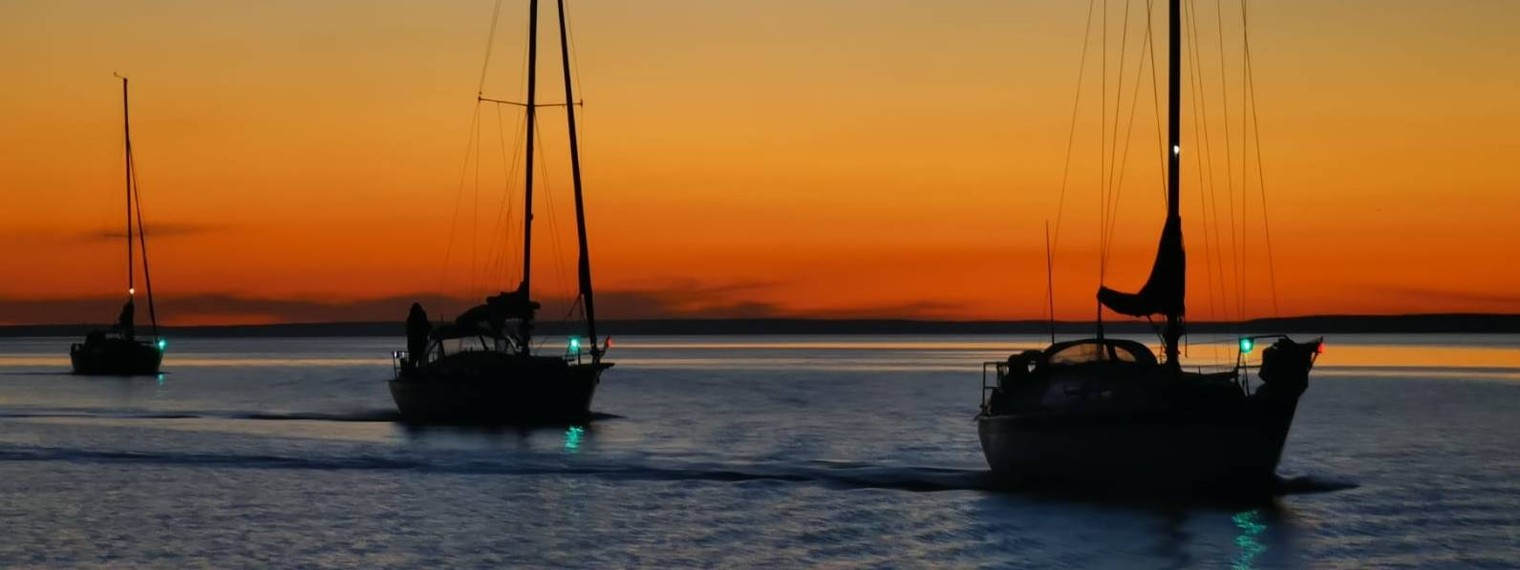 Удивительная планета Maestro Z