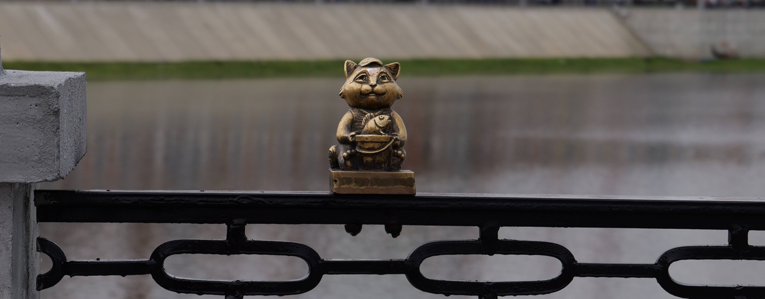 видеограф Александр Дмитриев