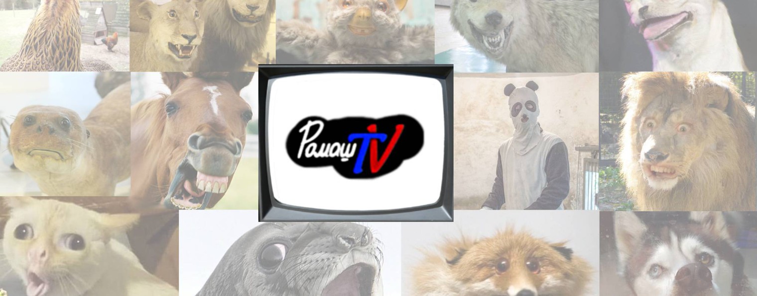 РомашTV