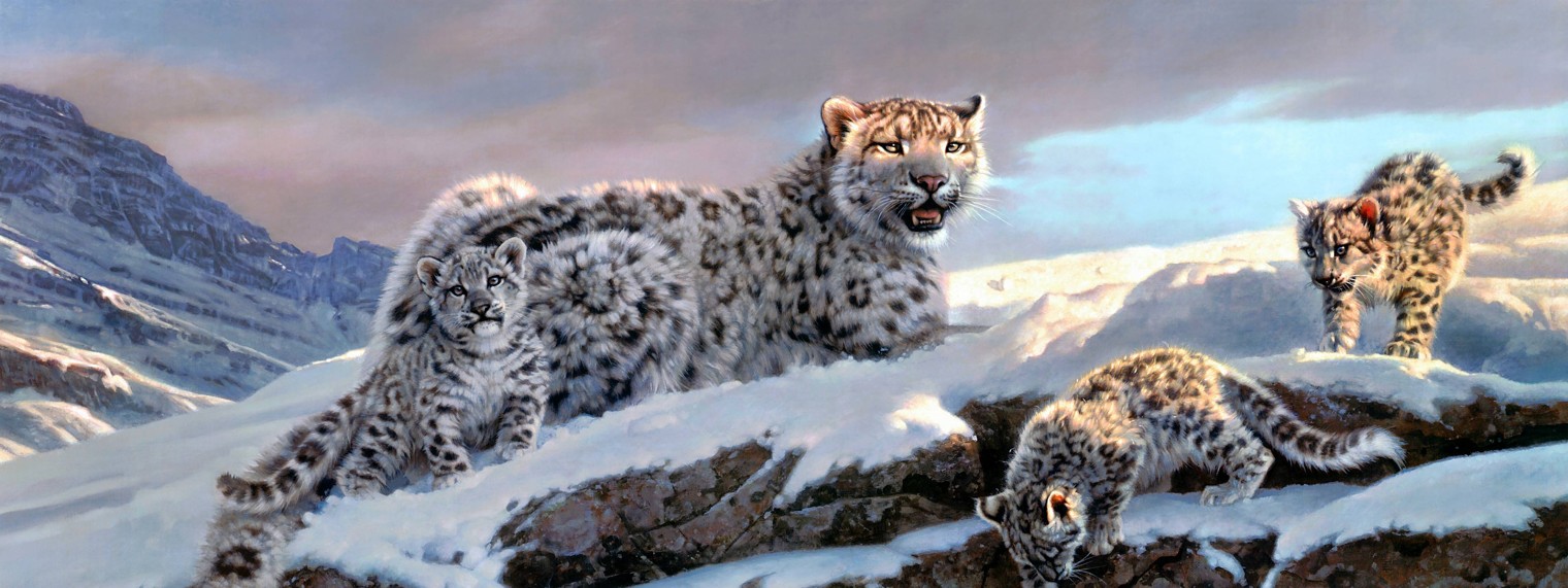 HTZ-15 (Heartz-1528)