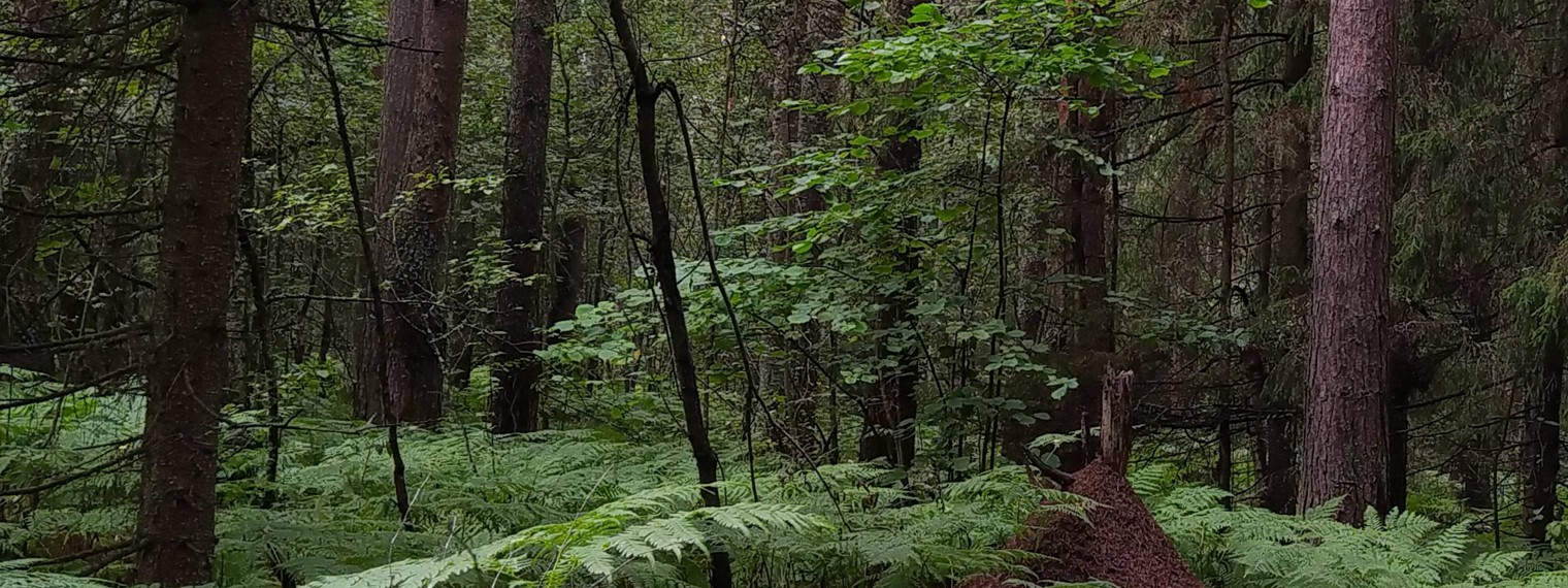 все о ремонте бытовой техники