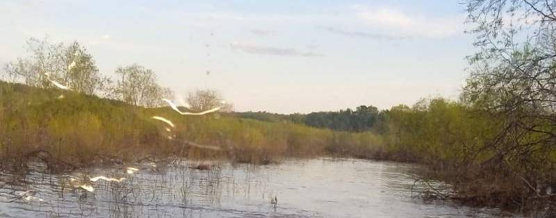 Вячеслав самоделки44