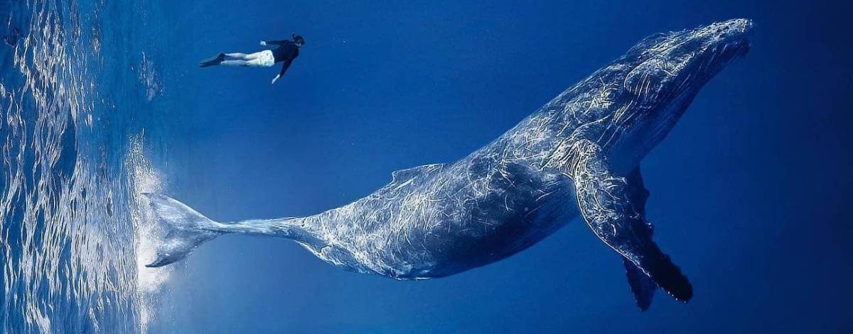 Алина Первамай. Психология единицы