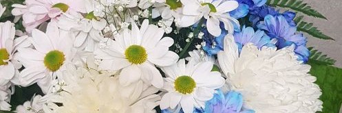 Катерина LIVE. ВЛОГ