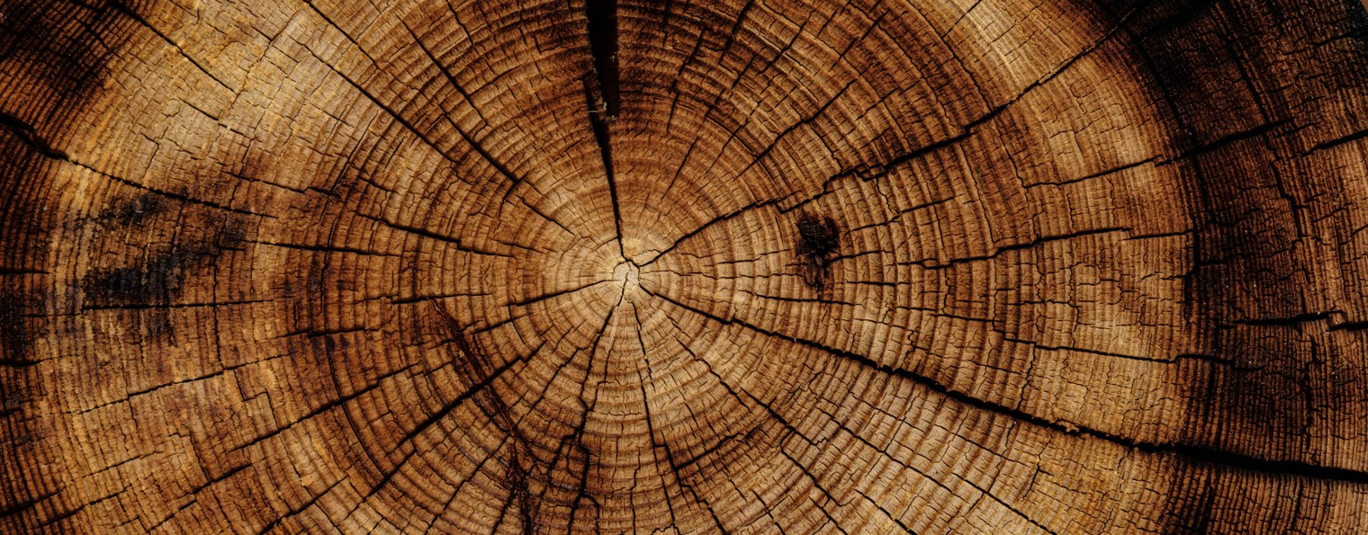 Делаем своими руками