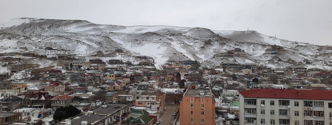 Орхан Алиев